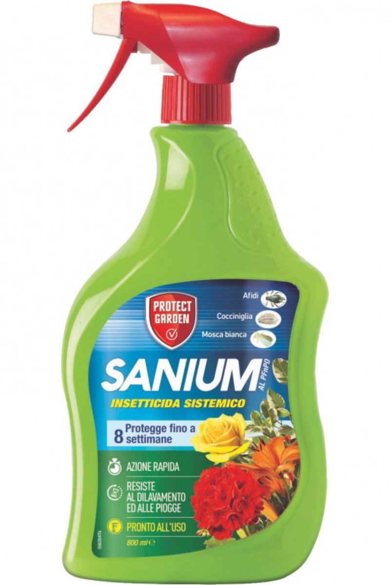 Il Quadrifoglio di Minoli